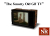 Second Life Marketplace - [NETHER REGION] "The Smutty Old Gif TV"